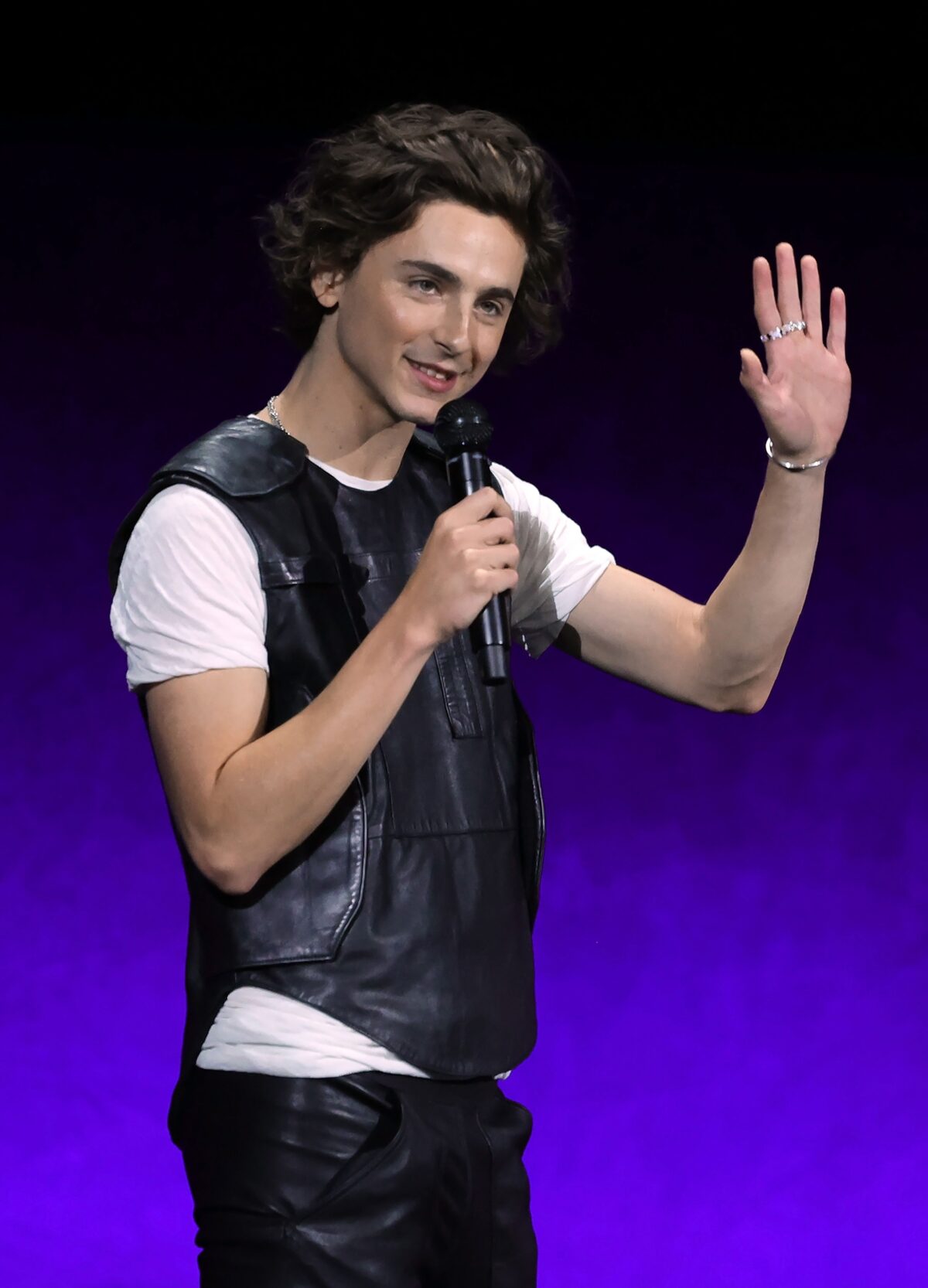 Happy Birthday Timothée Chalamet: The 5 Best Films - The Blonde Salad